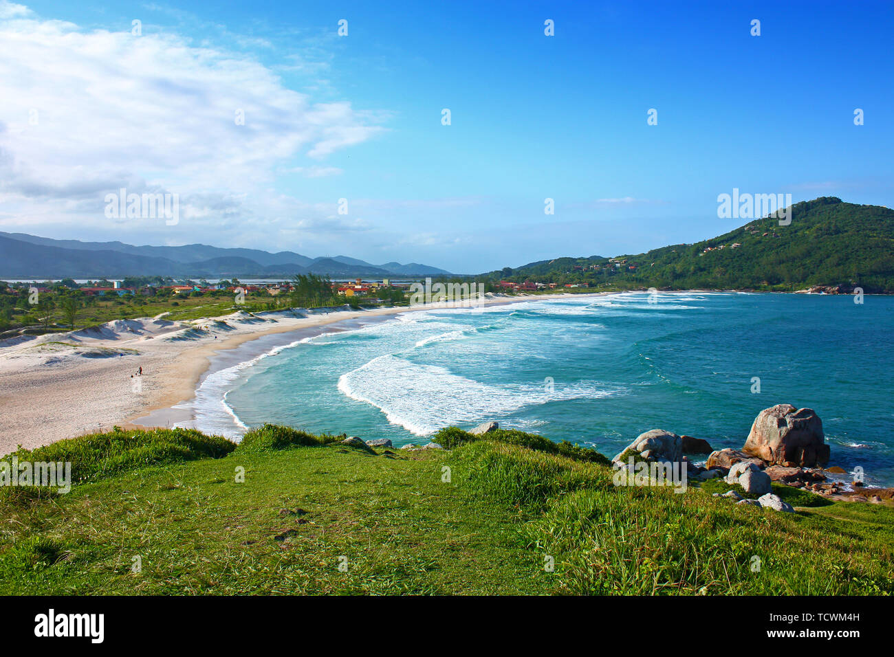 Ferrugem brasil hi-res stock photography and images - Alamy