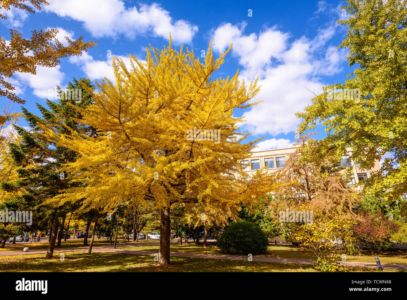 Campus of Dalian University of Technology Stock Photo - Alamy