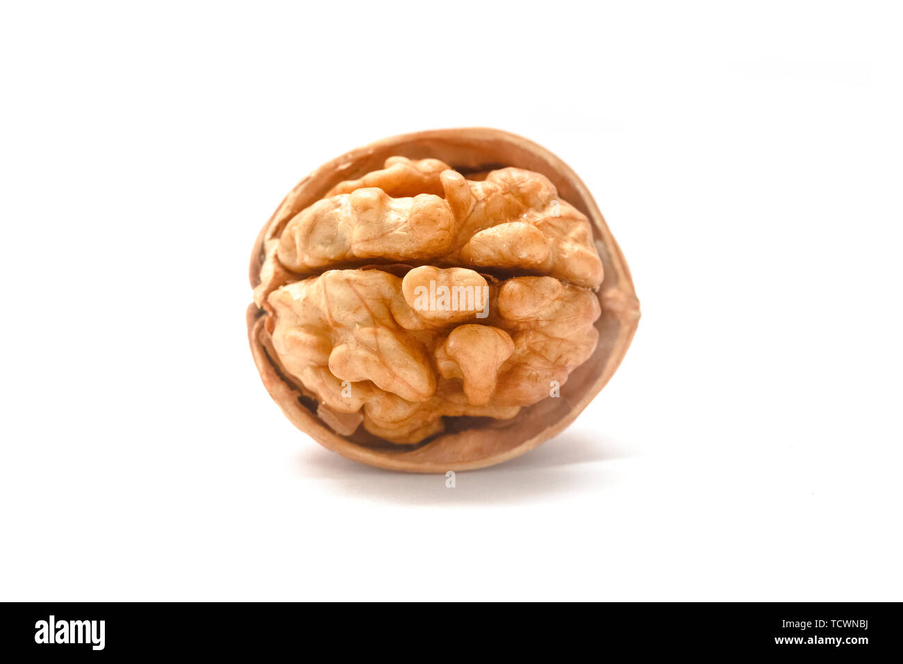 A complete walnut kernel isolated on a white background Stock Photo - Alamy