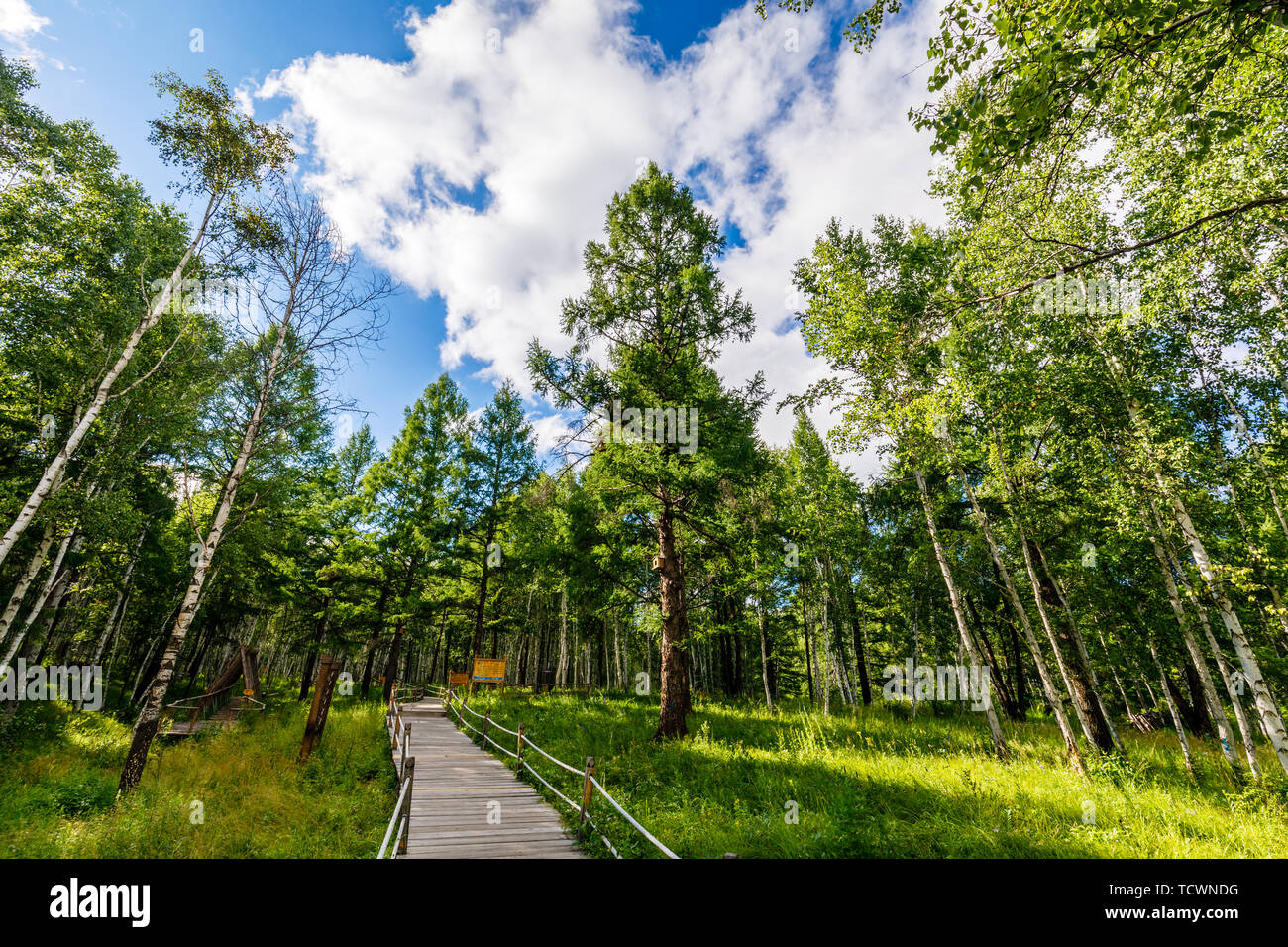 Hulunbuir Haur River, Inner Mongolia Stock Photo - Alamy