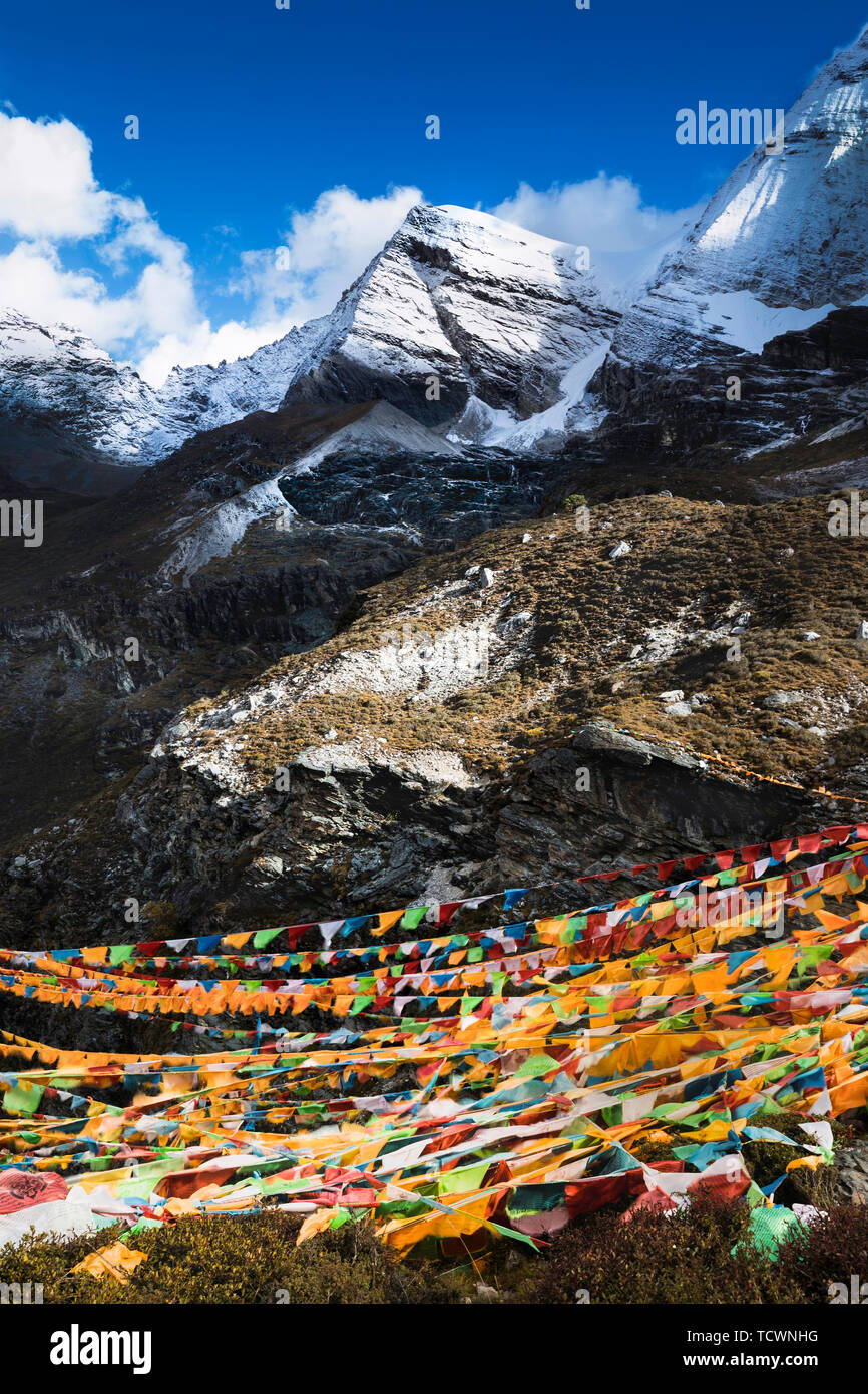 Autumn of Rice City Aden Stock Photo - Alamy