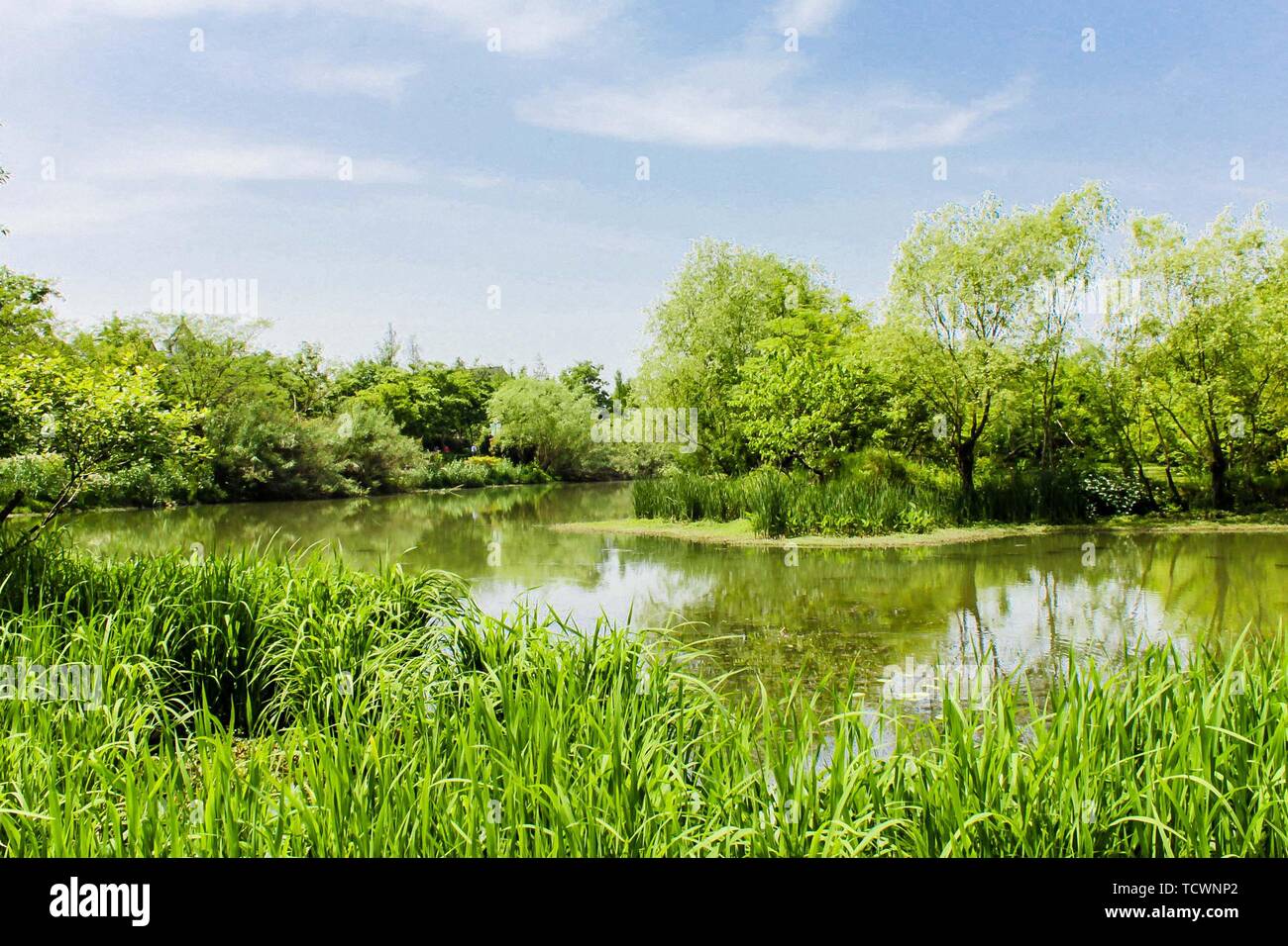 Scenery of Xixi Wetland Park in Hangzhou Stock Photo - Alamy