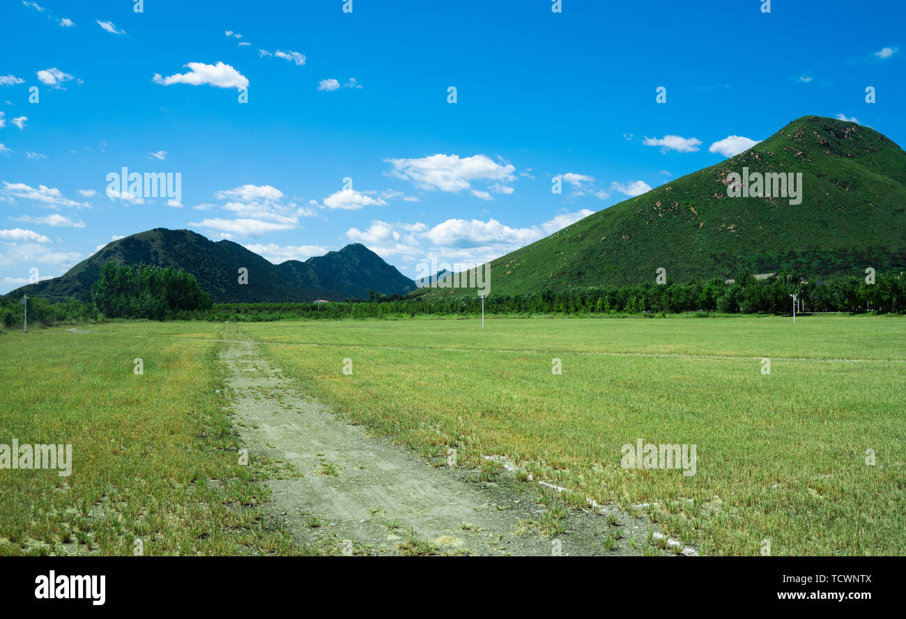 Rural areas with beautiful scenic trees hi-res stock photography and ...