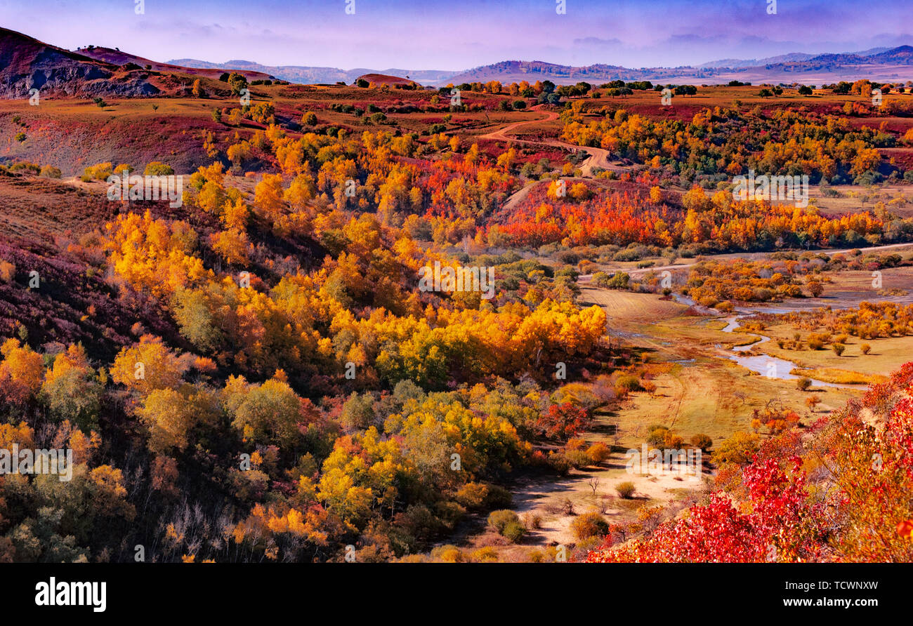 Autumn color on the dam Stock Photo - Alamy
