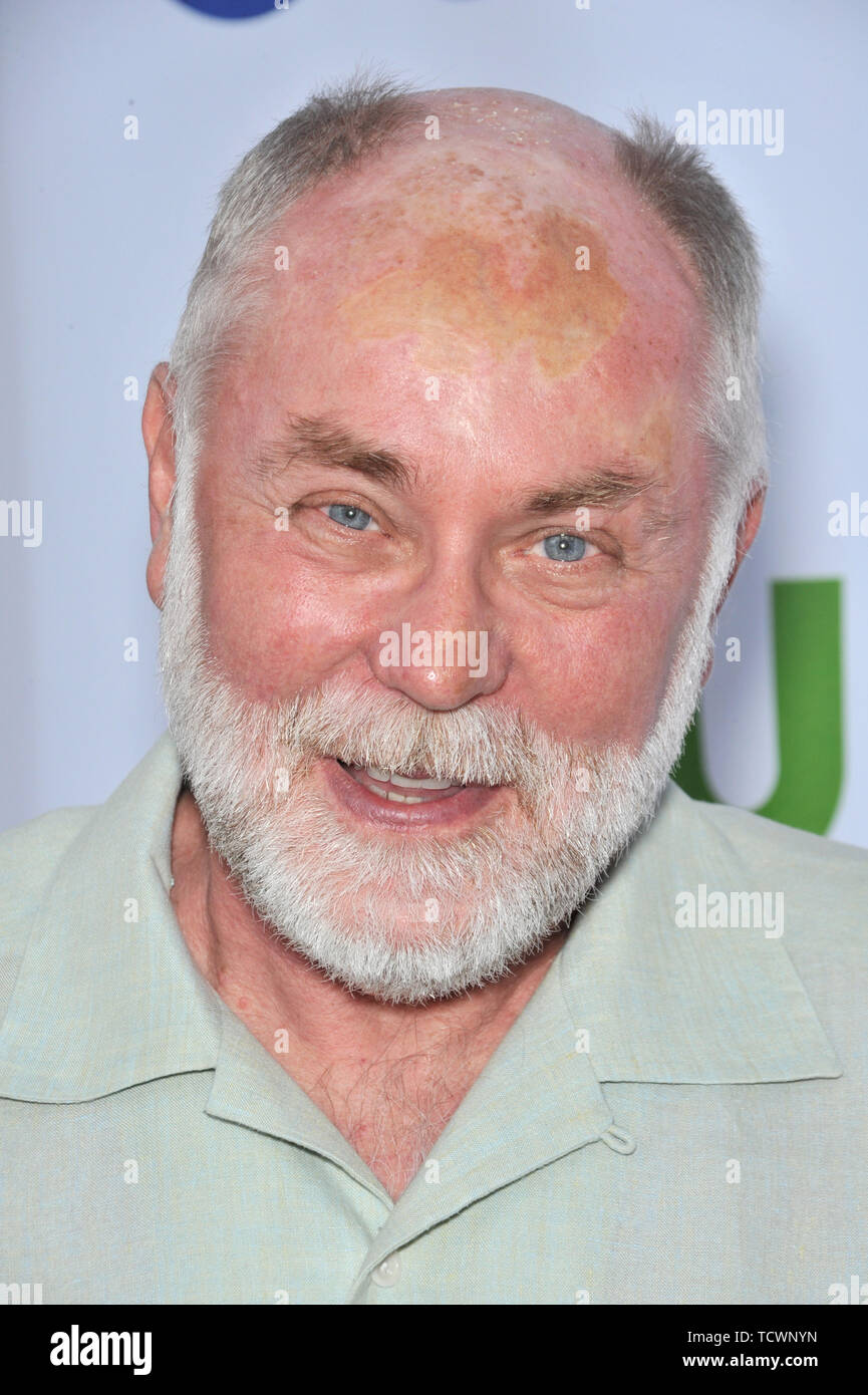LOS ANGELES, CA. July 19, 2008: Robert David Hall - star of "CSI: Crime ...