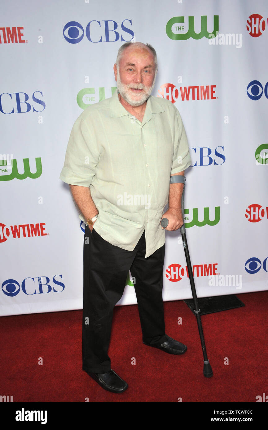 LOS ANGELES, CA. July 19, 2008: Robert David Hall - star of "CSI: Crime ...