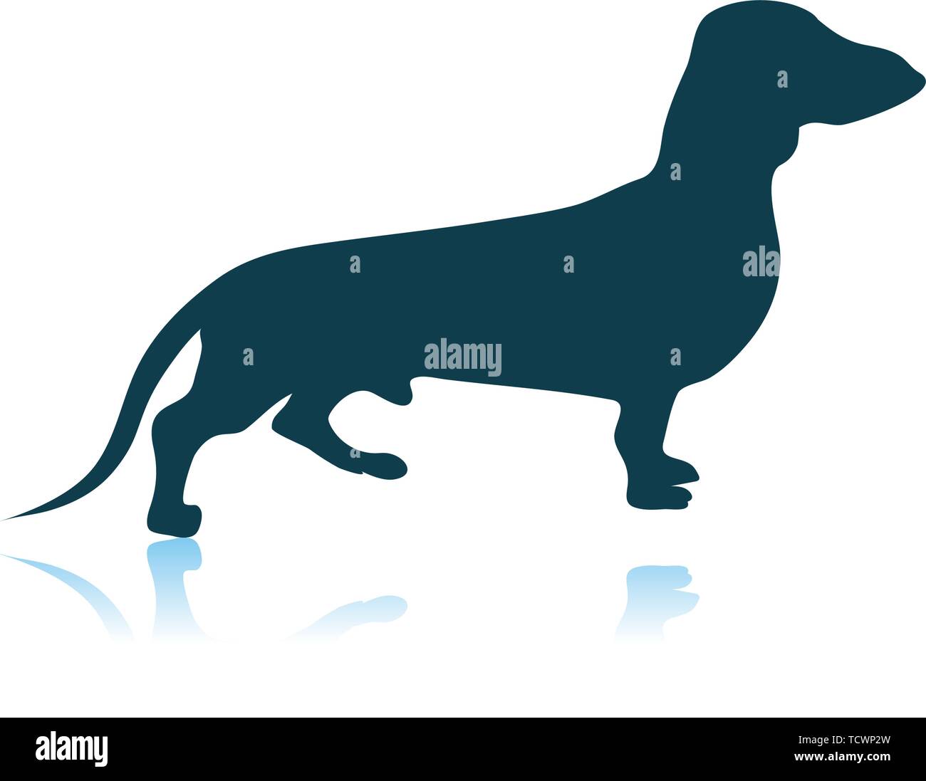Dachshund Dog Icon. Shadow Reflection Design. Vector Illustration Stock ...