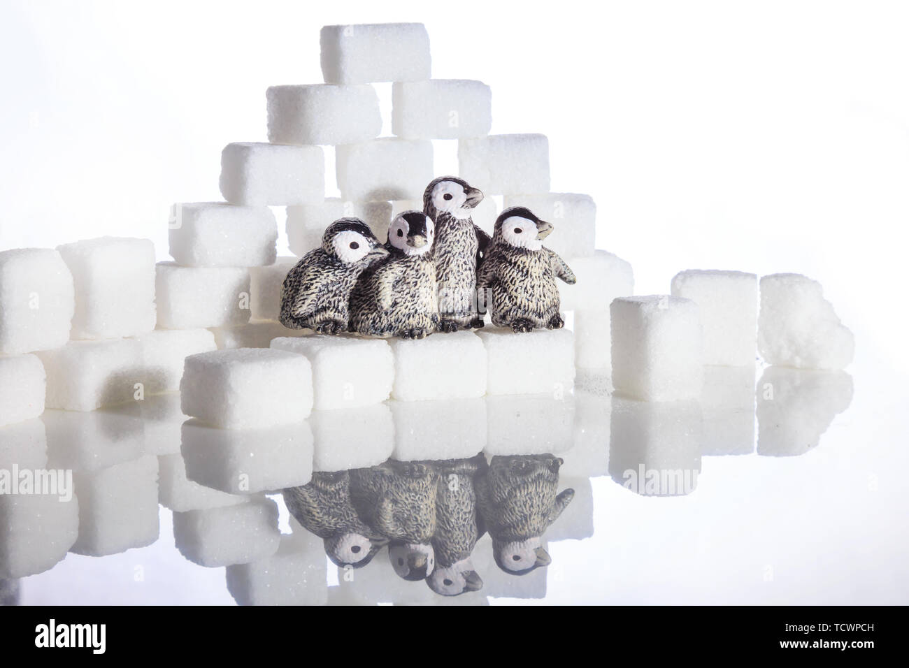 Creative filming cubes and penguins Stock Photo - Alamy