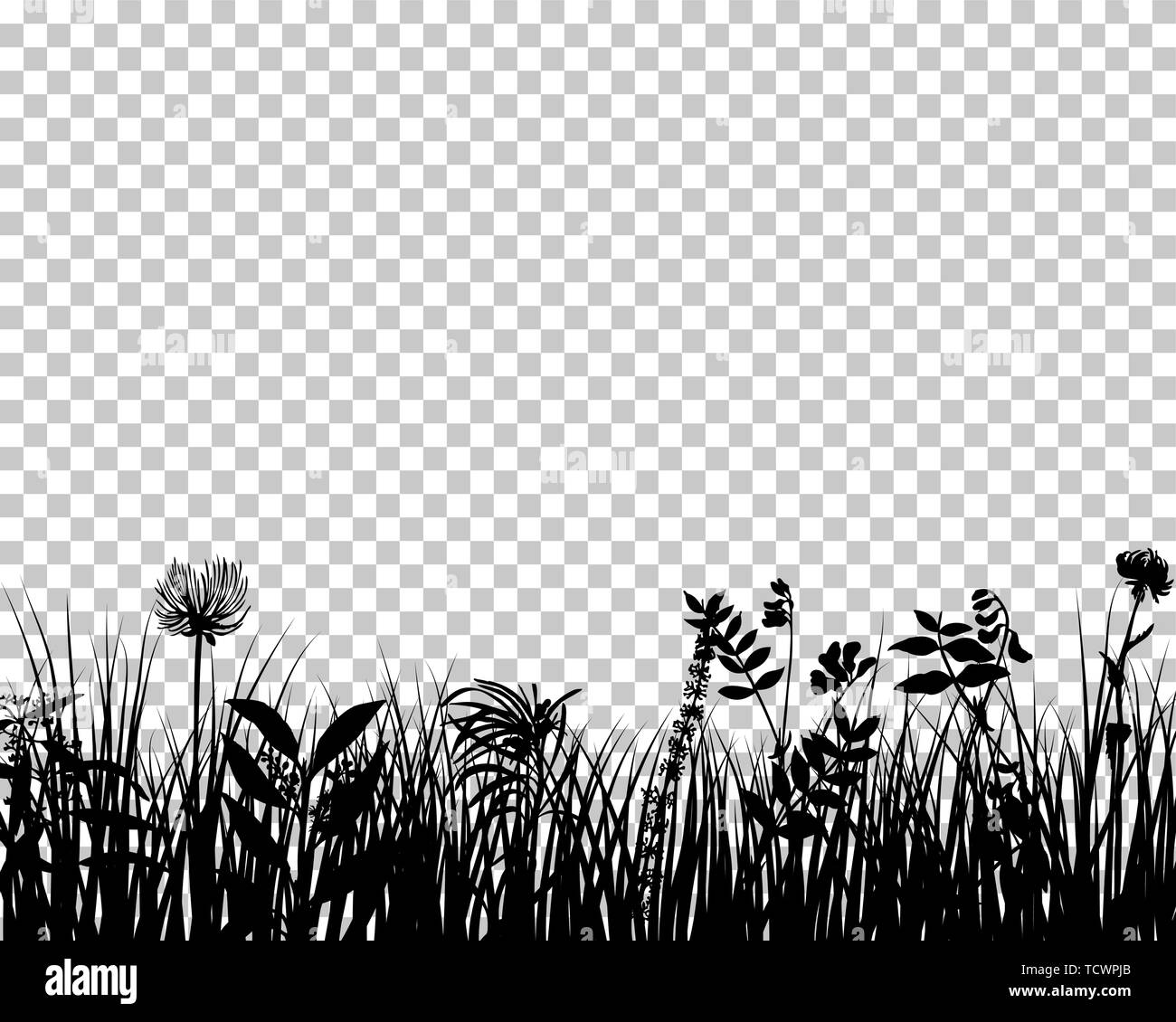 Meadow silhouette with transparency grid on back. Vector Illustration ...