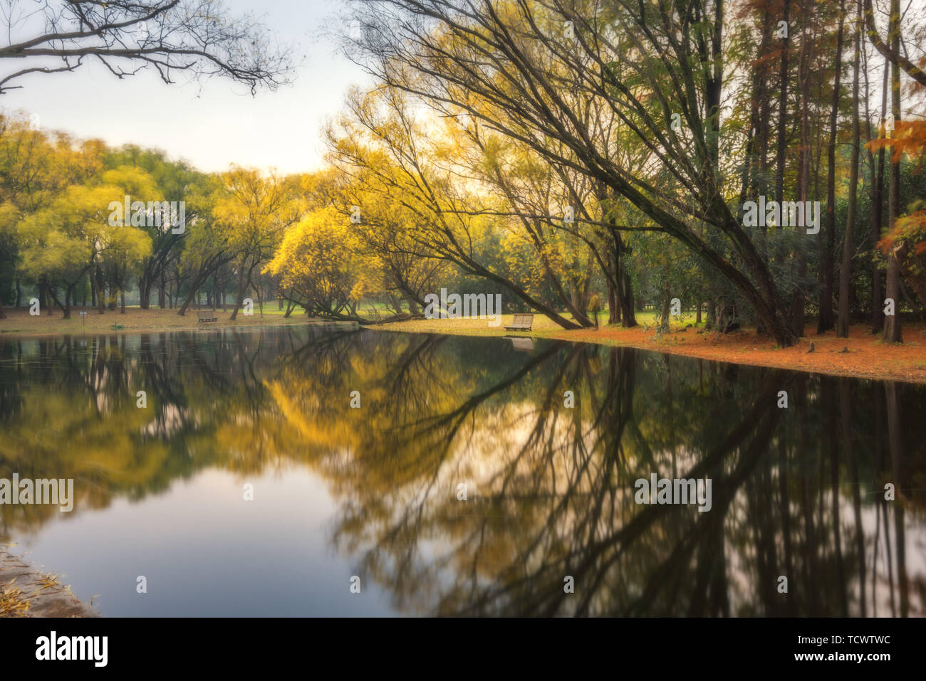 Shanghai gongqing forest park hi-res stock photography and images - Alamy