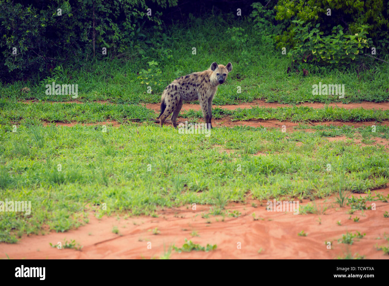 Haina hi-res stock photography and images - Alamy