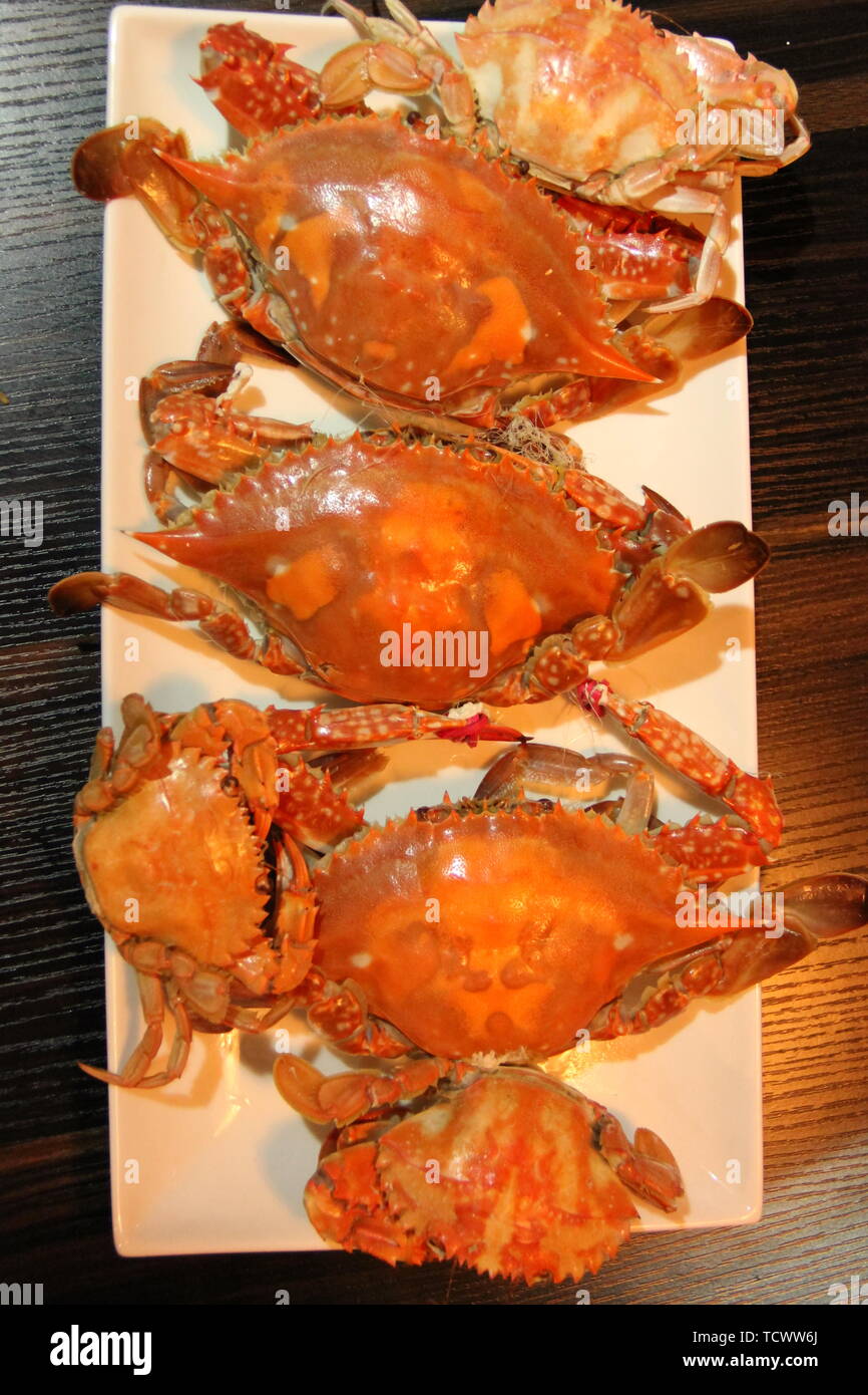 Gourmet vegetable food food ingredients pasta barbecue traditional food ...