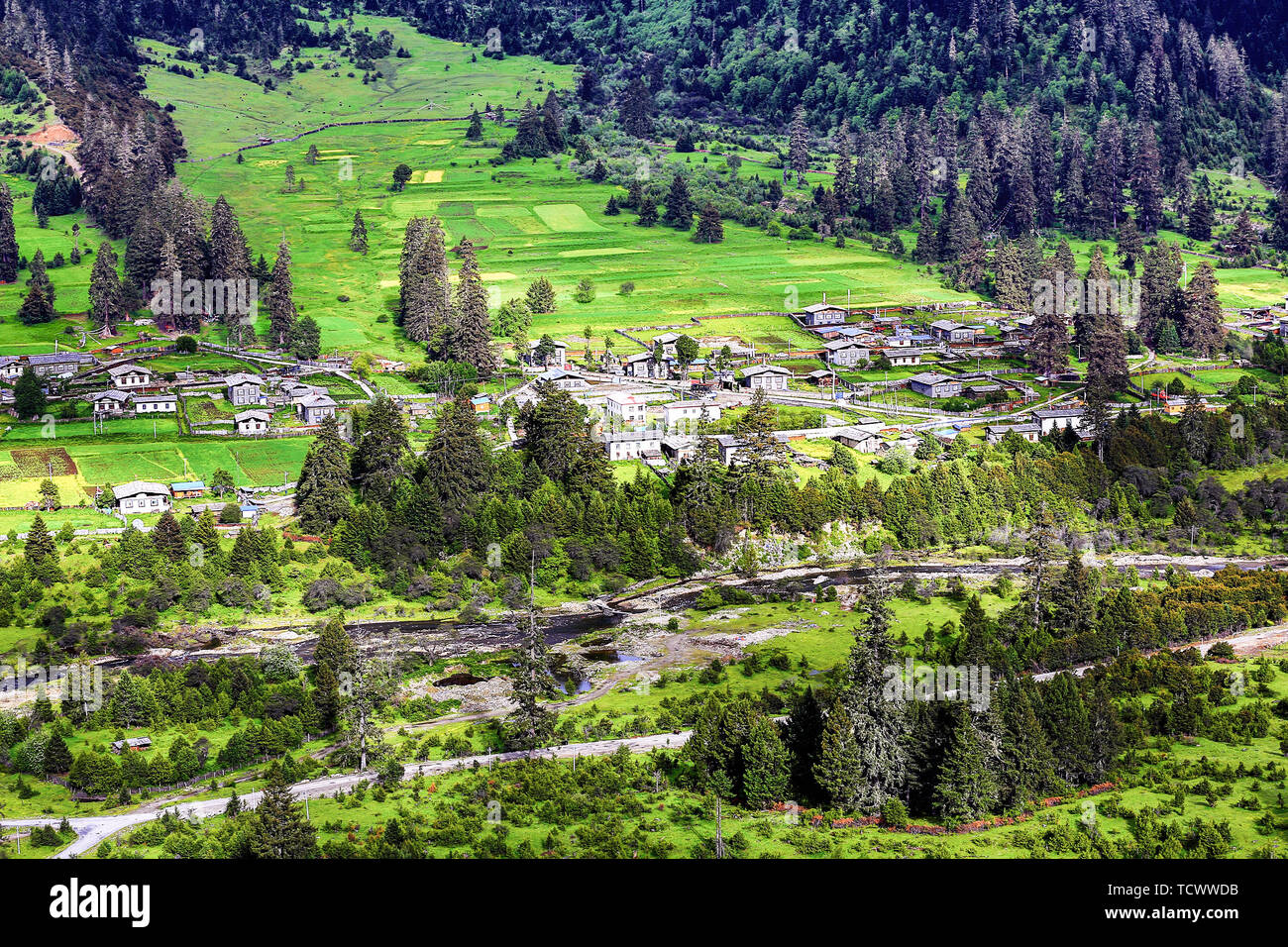 Scenery of Yingzhi Lulang Linhai, Tibet Autonomous Region, China Stock ...