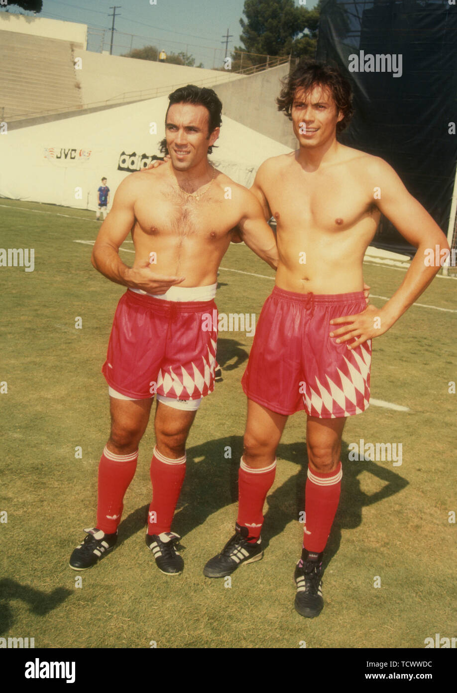 Los Angeles, California, USA 9th July 1994 Actors/brothers Francesco ...