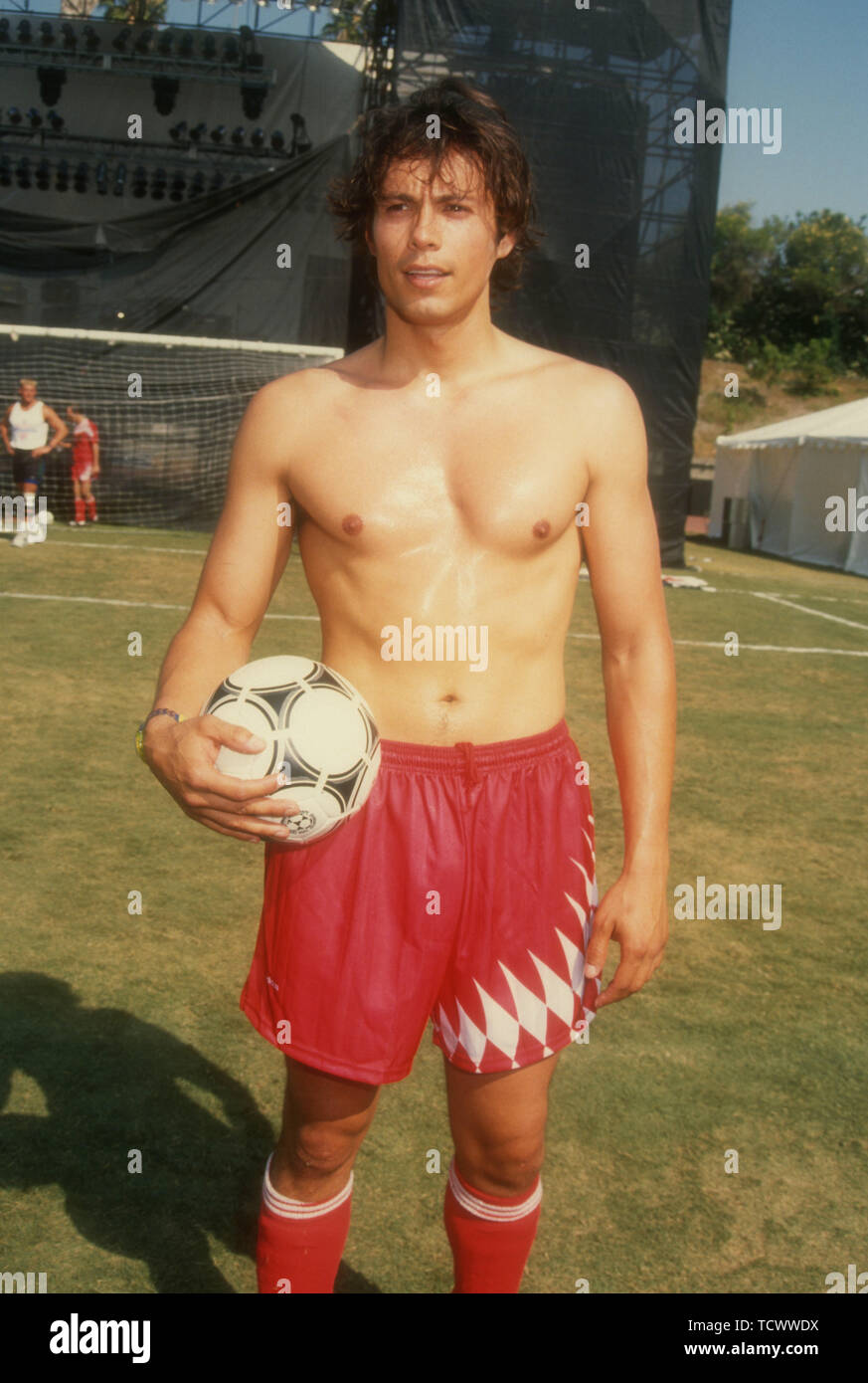 Los Angeles, California, USA 9th July 1994 Actor Danny Quinn attends ...