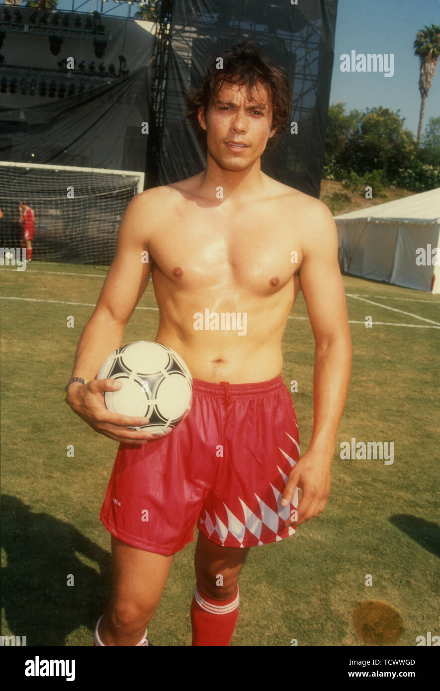 Los Angeles, California, USA 9th July 1994 Actor Danny Quinn attends ...