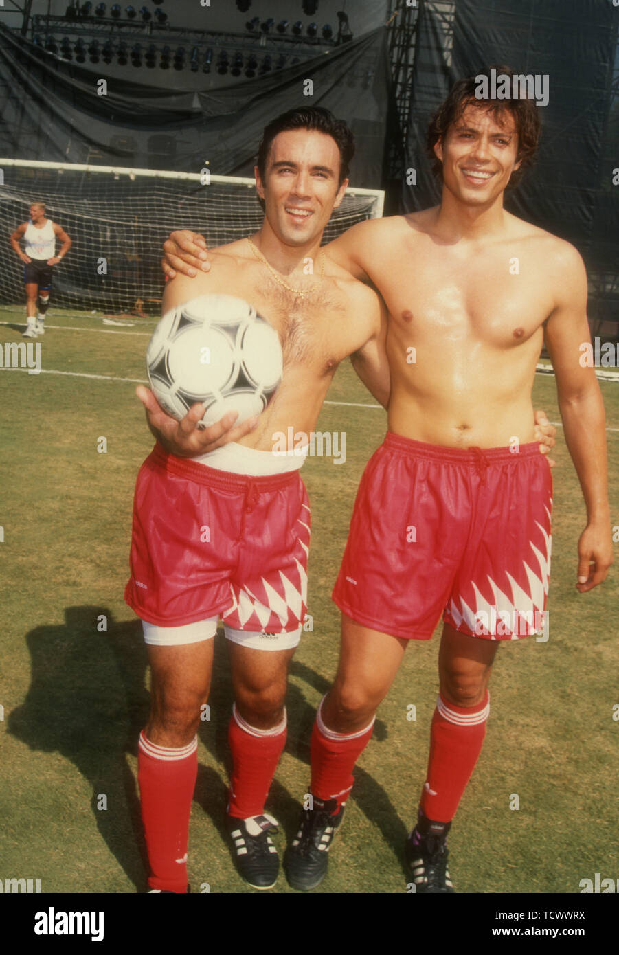 Los Angeles, California, USA 9th July 1994 Actors/brothers Francesco ...