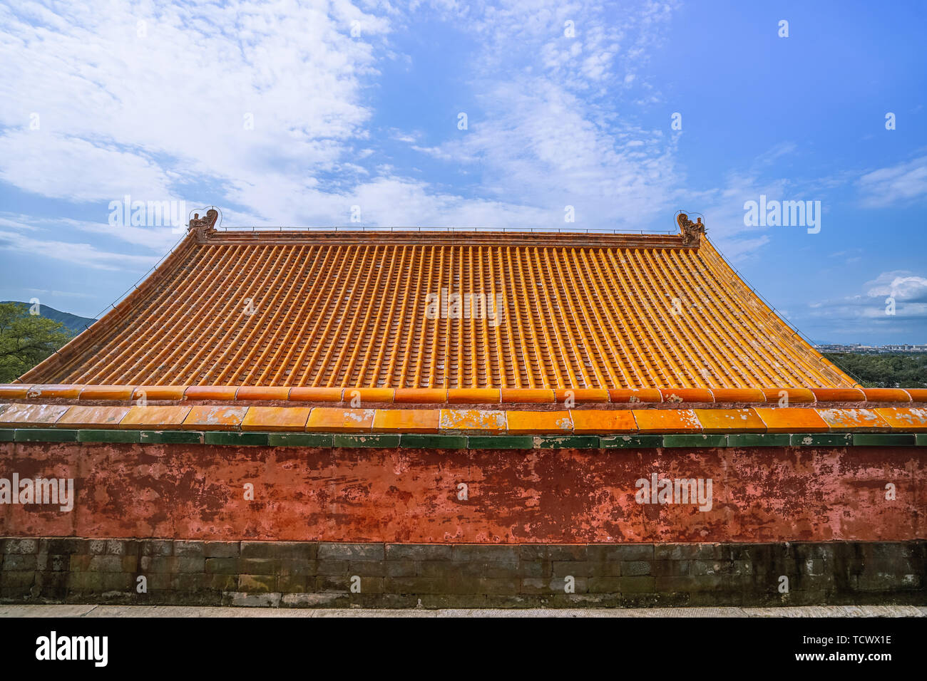 Spectacular royal palace roof close-up Stock Photo - Alamy