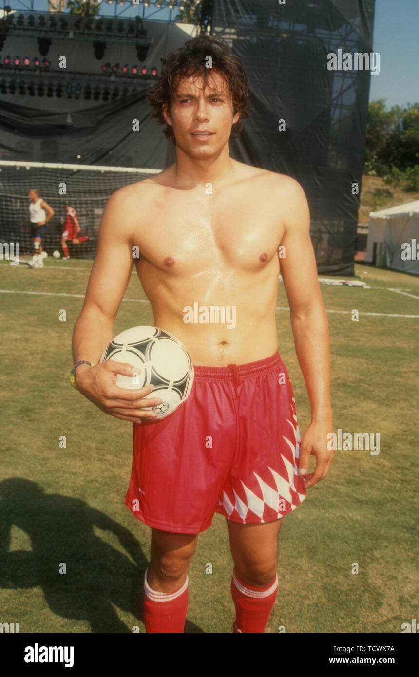 Los Angeles, California, USA 9th July 1994 Actor Danny Quinn attends ...