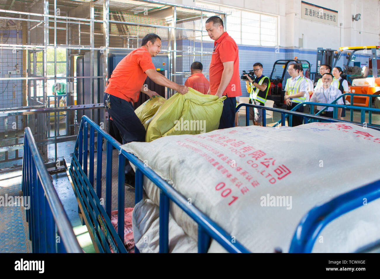 Southern Airlines, ground crew transporting checked baggage Stock Photo ...
