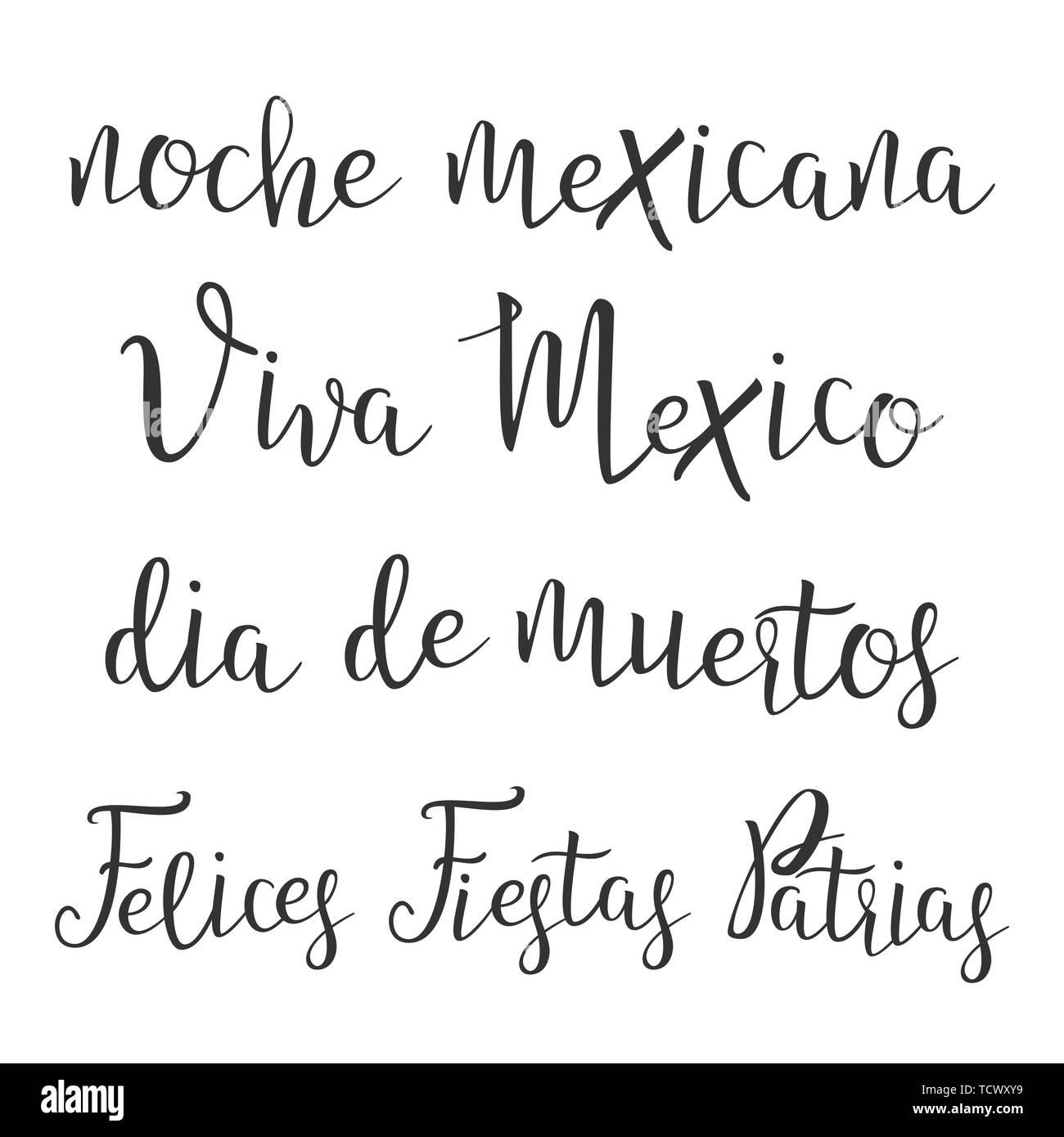 Funny Modern Calligraphy Of Hispanic Word Vector Stock Vector Image ...