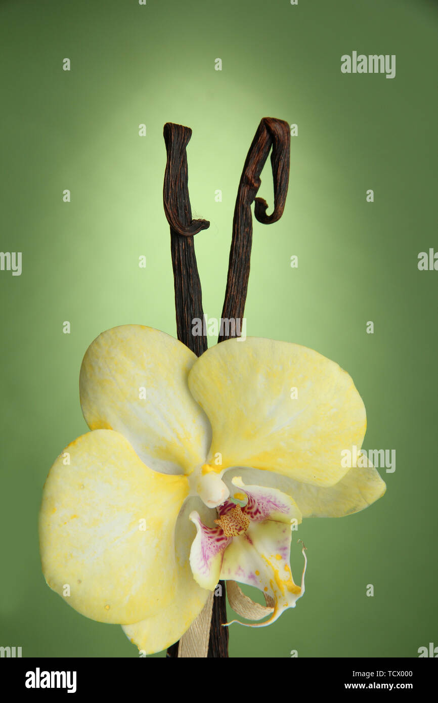 Two vanilla green pods hi-res stock photography and images - Alamy