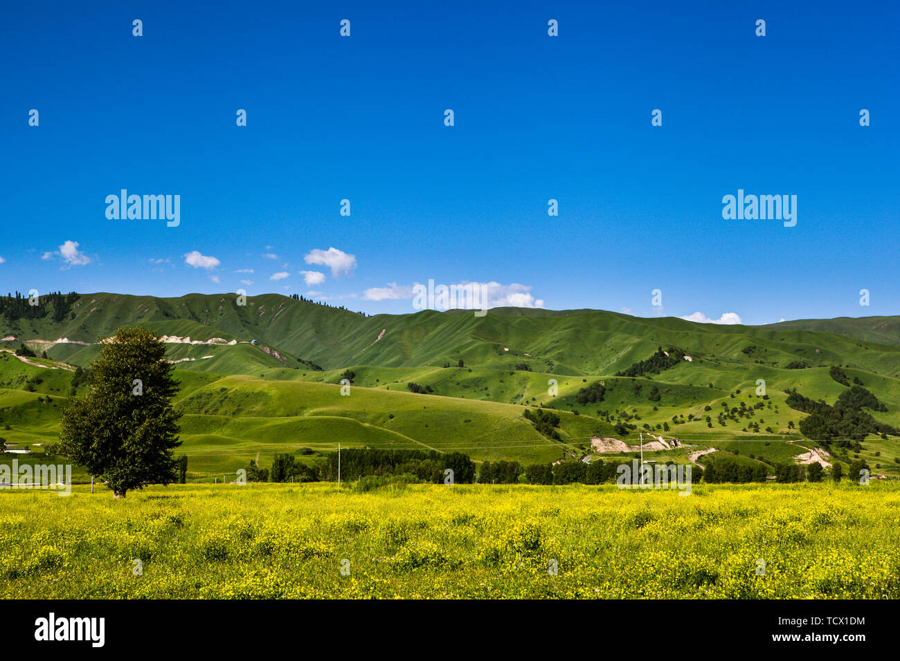 Nalati Grassland High Resolution Stock Photography and Images - Alamy
