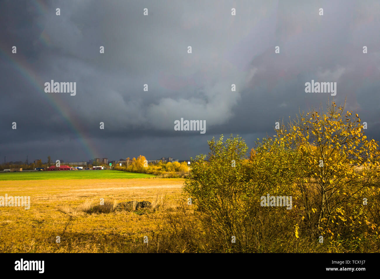 The Russian wilderness of the golden autumn, colorful and heavy, like ...