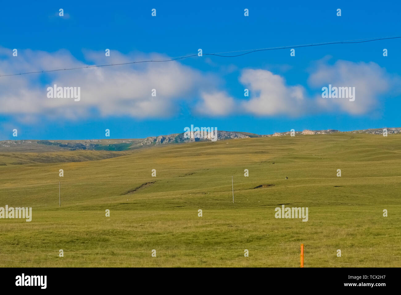 Qinghai lake qinghai lake scenery scenery around the lake hi-res stock ...