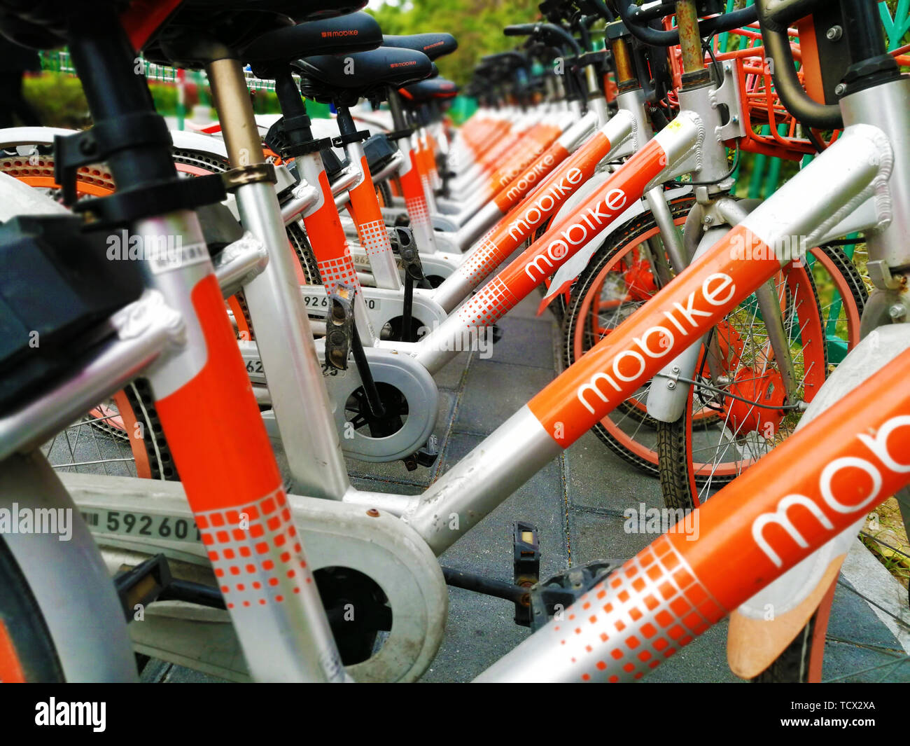 Moto mobility hi-res stock photography and images - Alamy