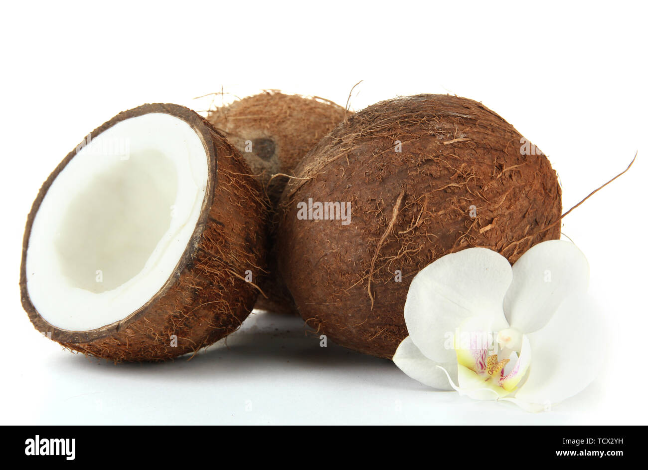 Coconuts with flower, isolated on white Stock Photo - Alamy