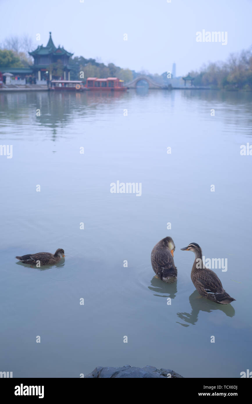 Smoke and rain Yangzhou sky blue water Stock Photo - Alamy