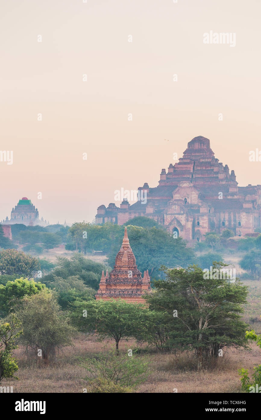 Pugan High Resolution Stock Photography and Images - Alamy