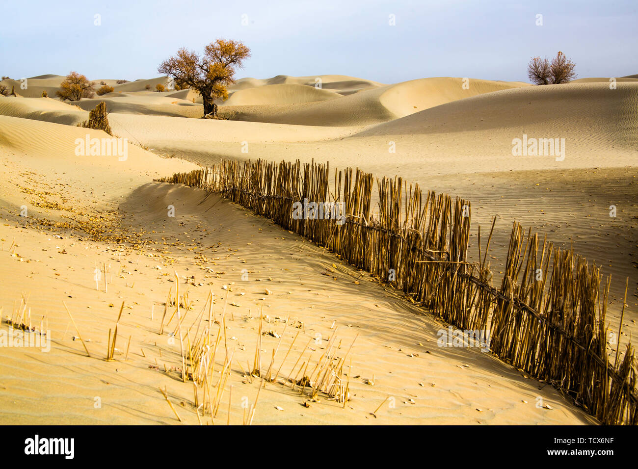 Landscape of the Taklimakan Desert near the wheel platform in Xinjiang ...