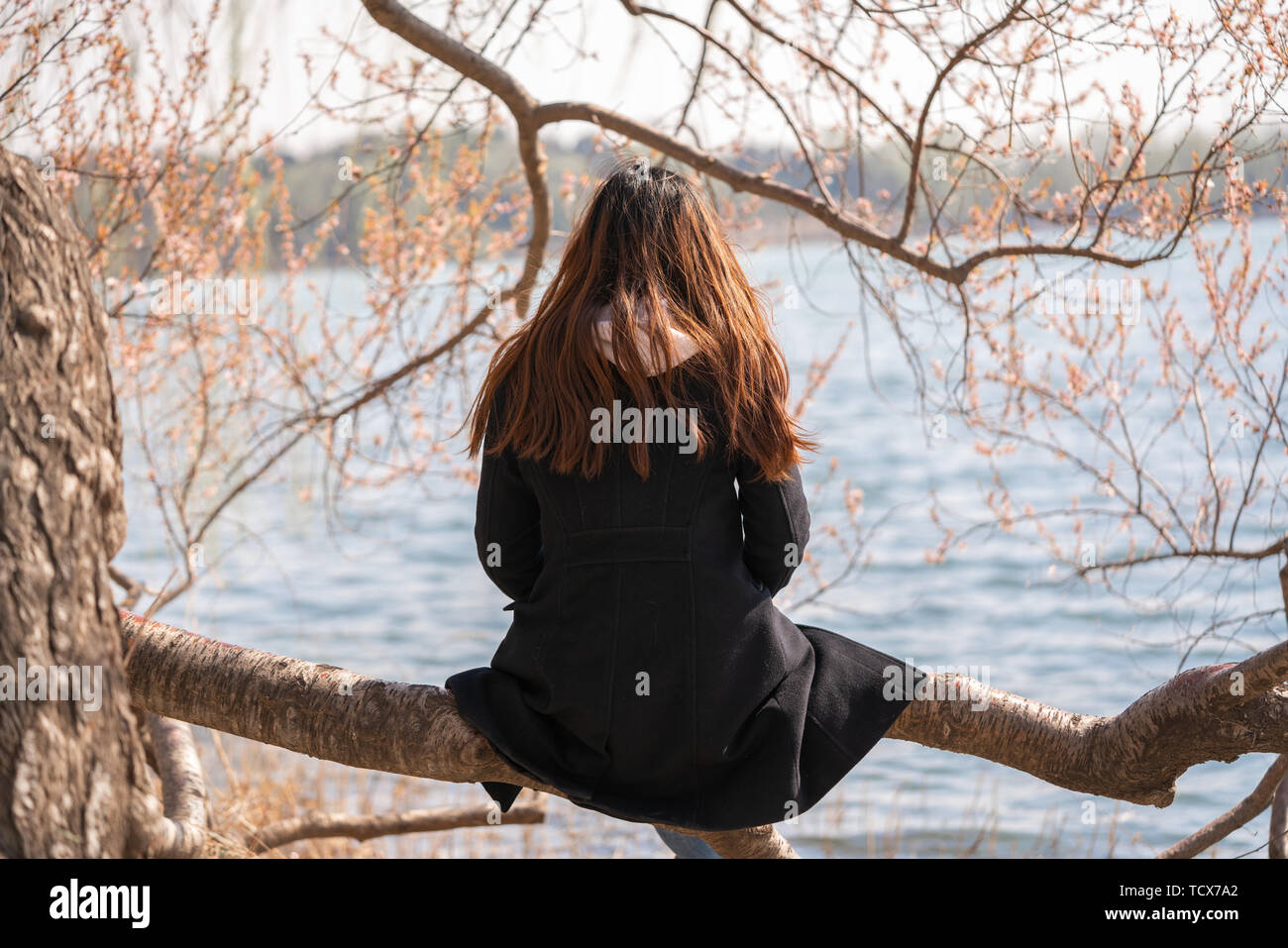 Asian girl's back and side face in spring travel Stock Photo - Alamy