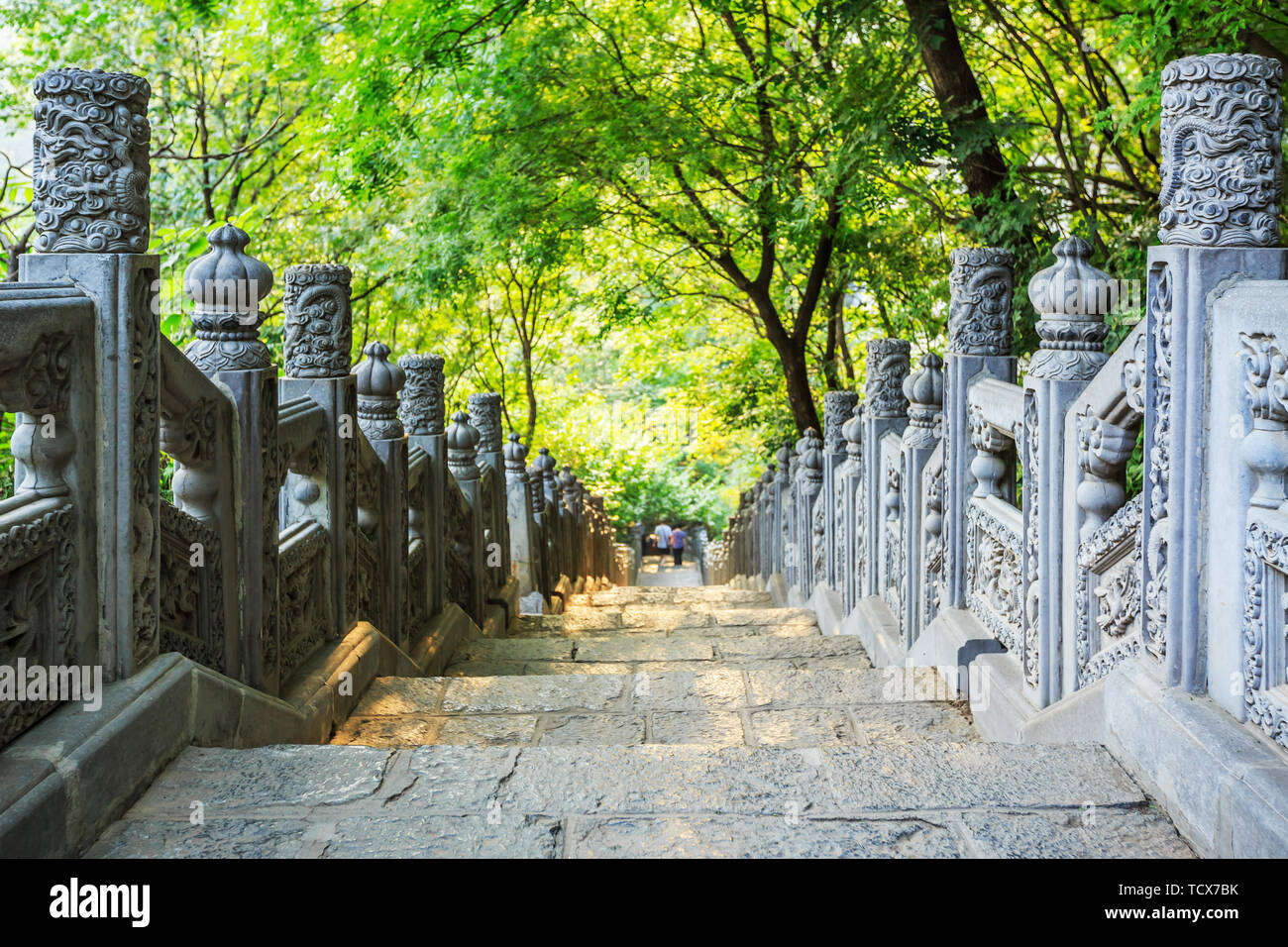 The stone steps of the forest leading to the Wanshan Temple Stock Photo ...
