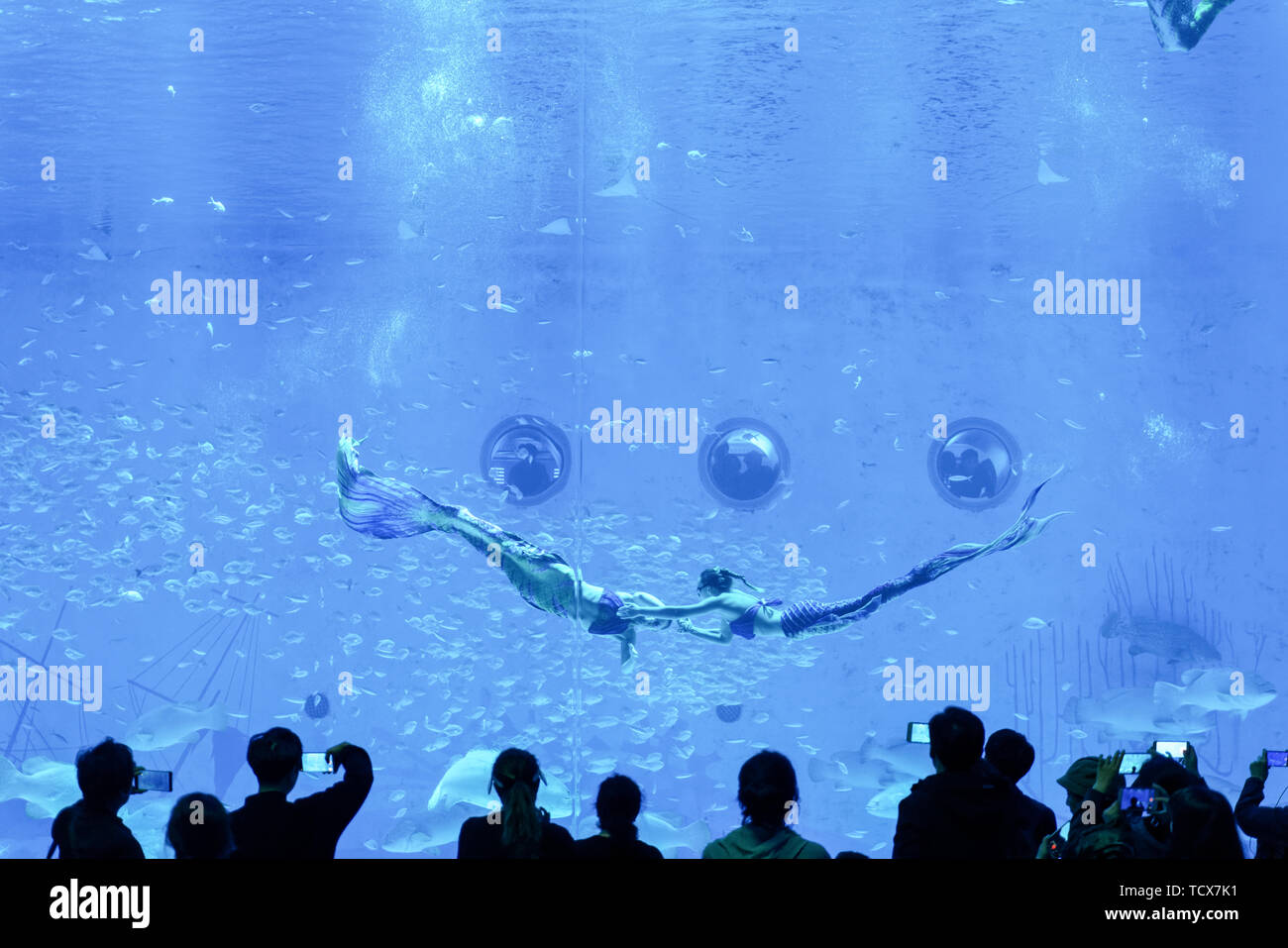 Mermaid performance at Haichang Ocean Park, Shanghai Stock Photo - Alamy