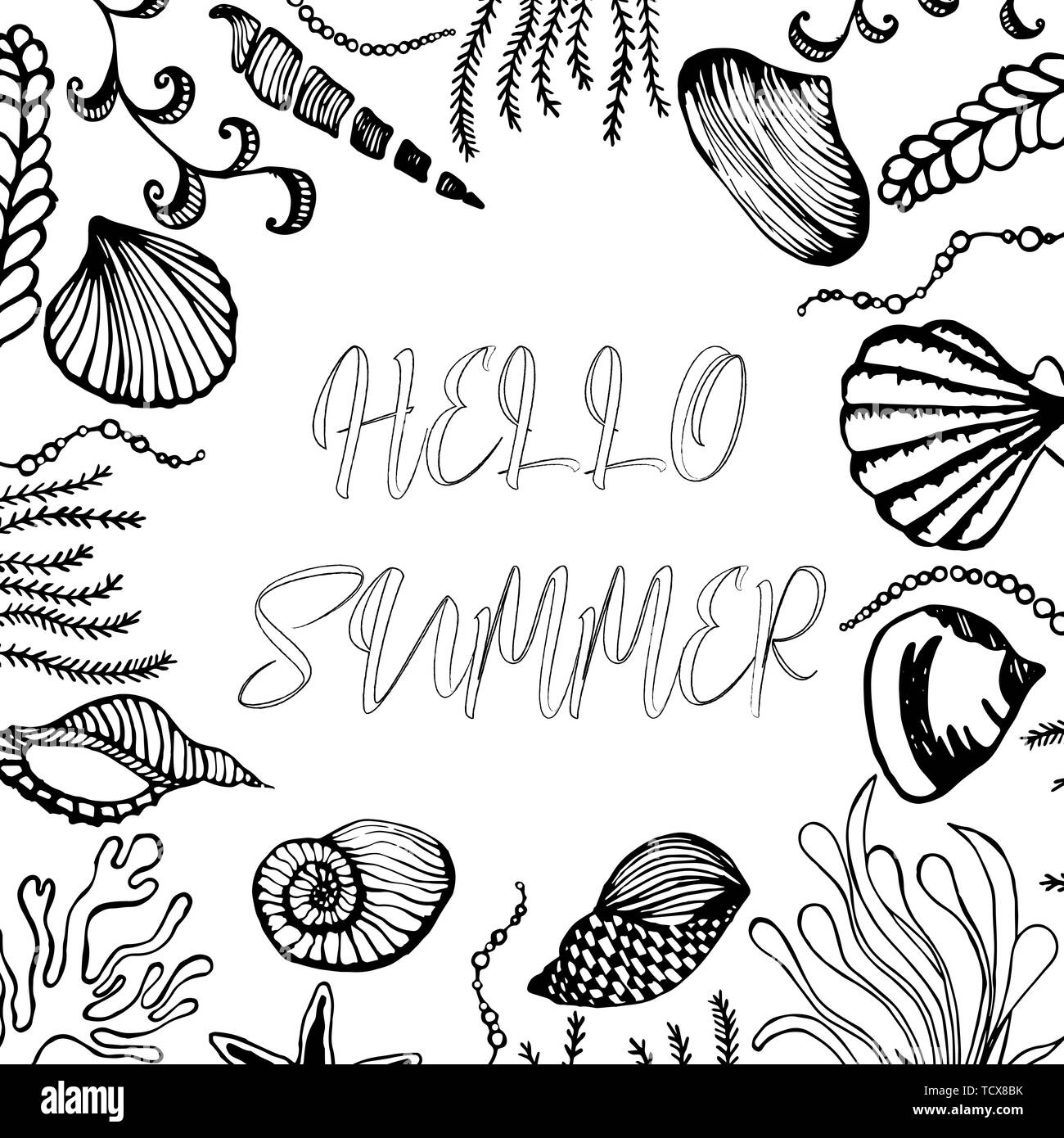 Hello summer. Square frame from hand drawn sea shells and seaweed ...