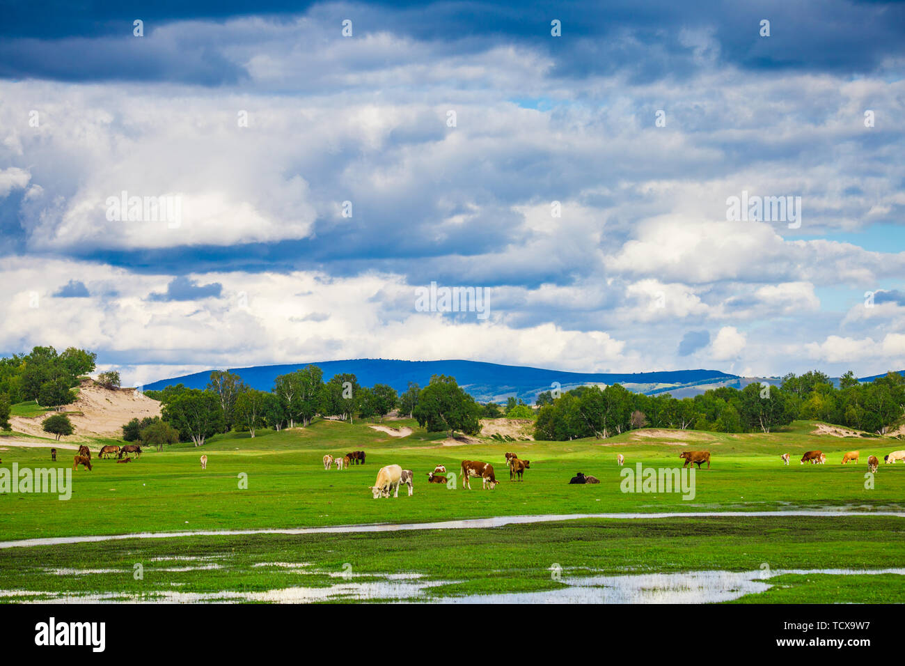 Sky landscape landscapes nature no one has lawn farm outdoors hi-res stock photography and ...