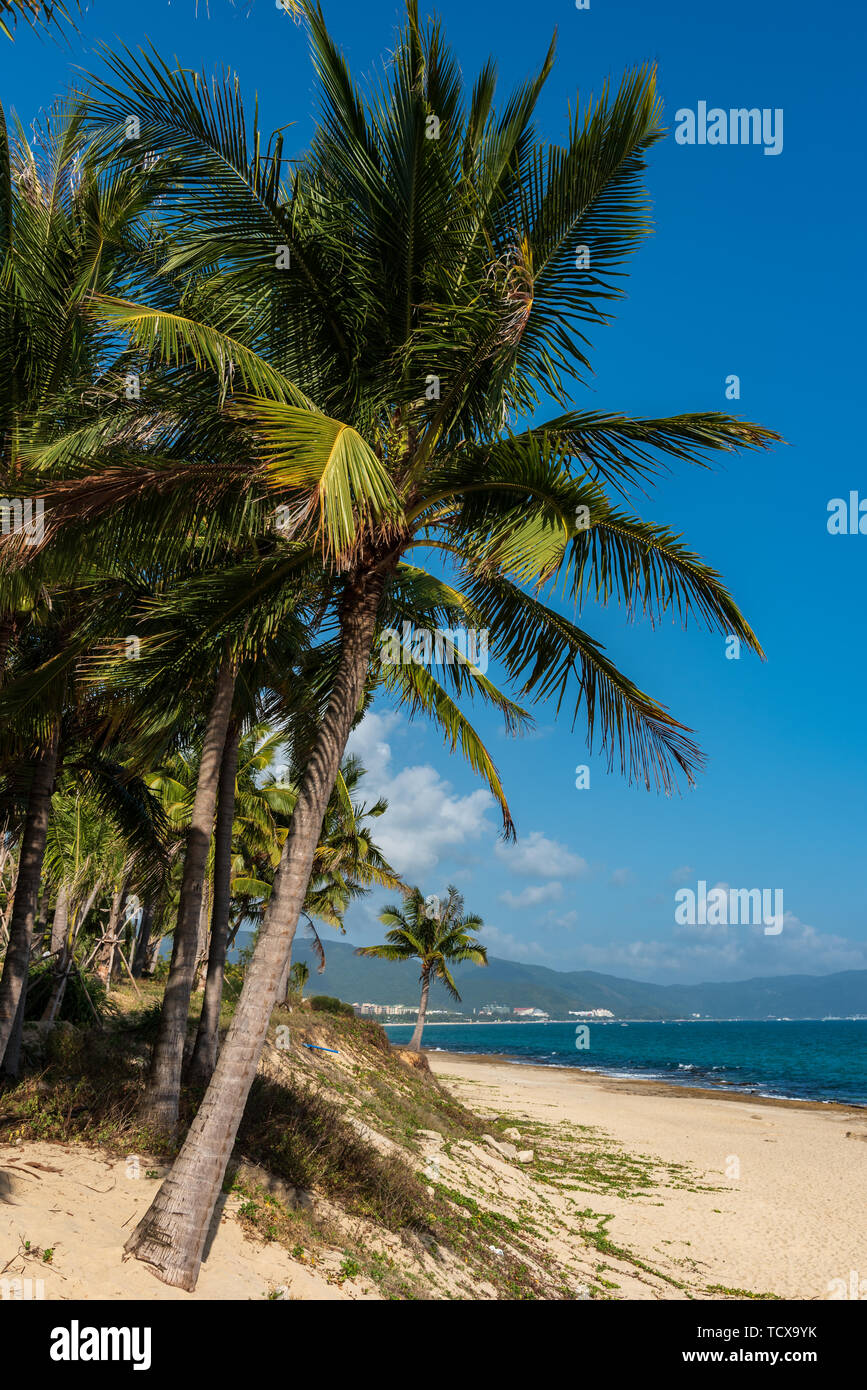 Hainan region hi-res stock photography and images - Alamy