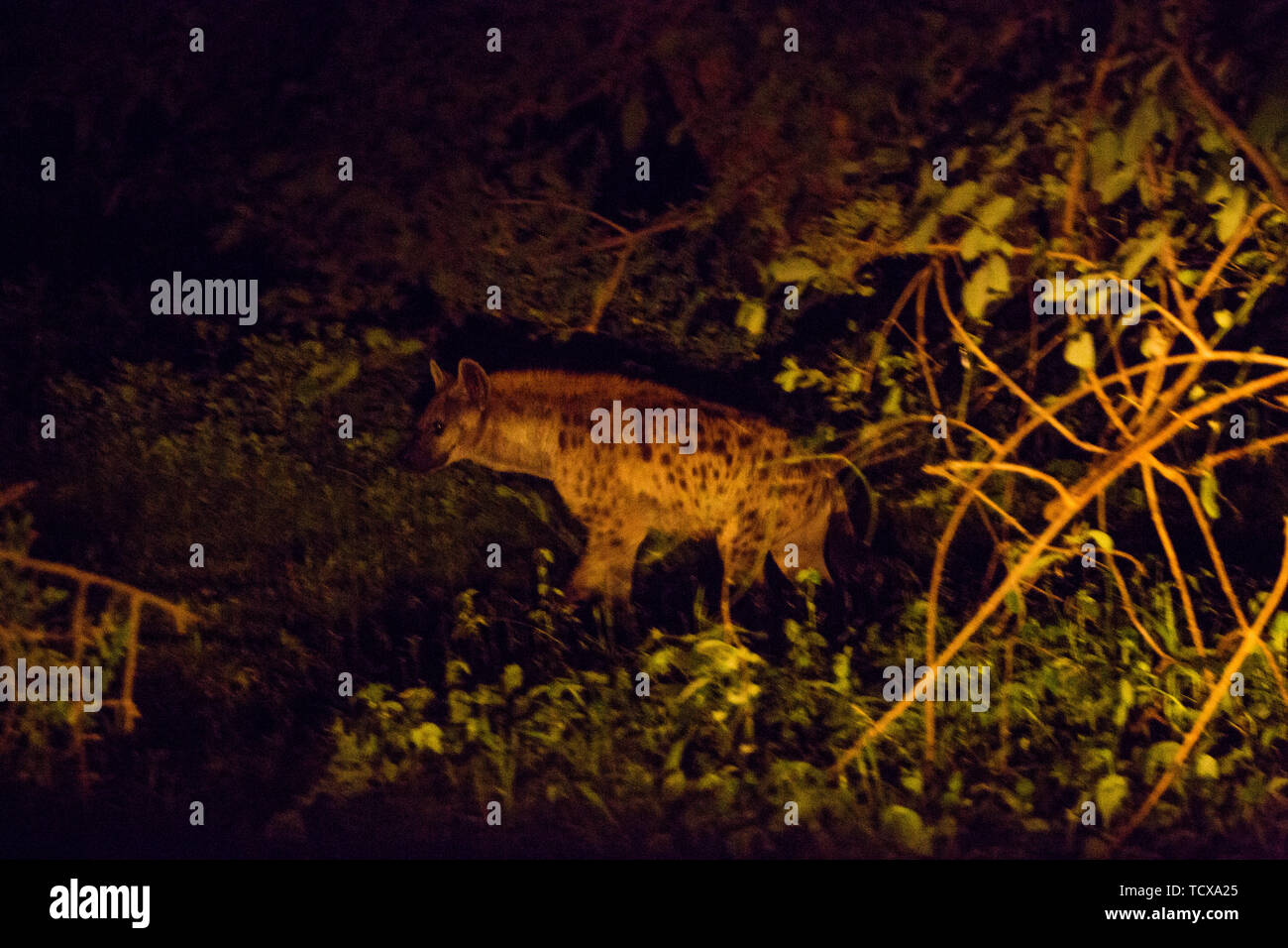 Haina hi-res stock photography and images - Alamy