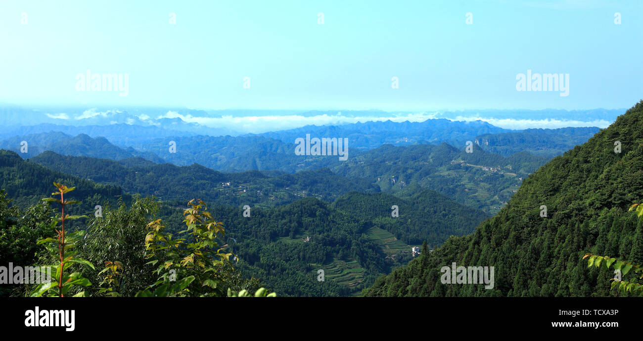 Tujia hi-res stock photography and images - Alamy