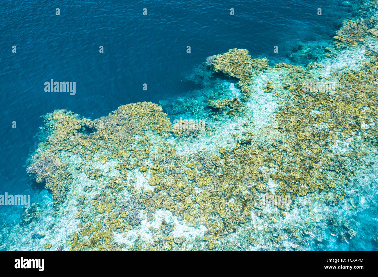 Aerial view of beautiful lagoons and limestone cliffs of Coron, Palawan ...