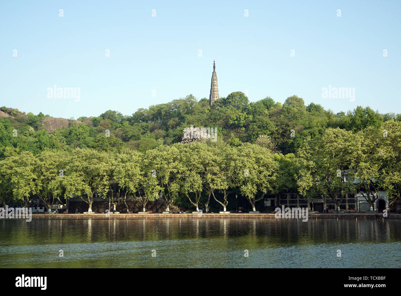 Spring color of West Lake Scenic Area Stock Photo - Alamy