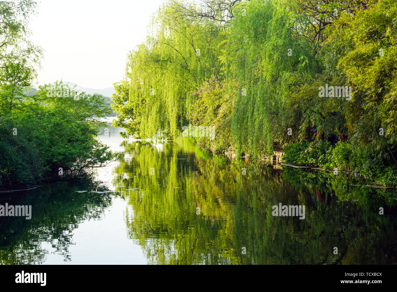 Spring color of West Lake Scenic Area Stock Photo - Alamy