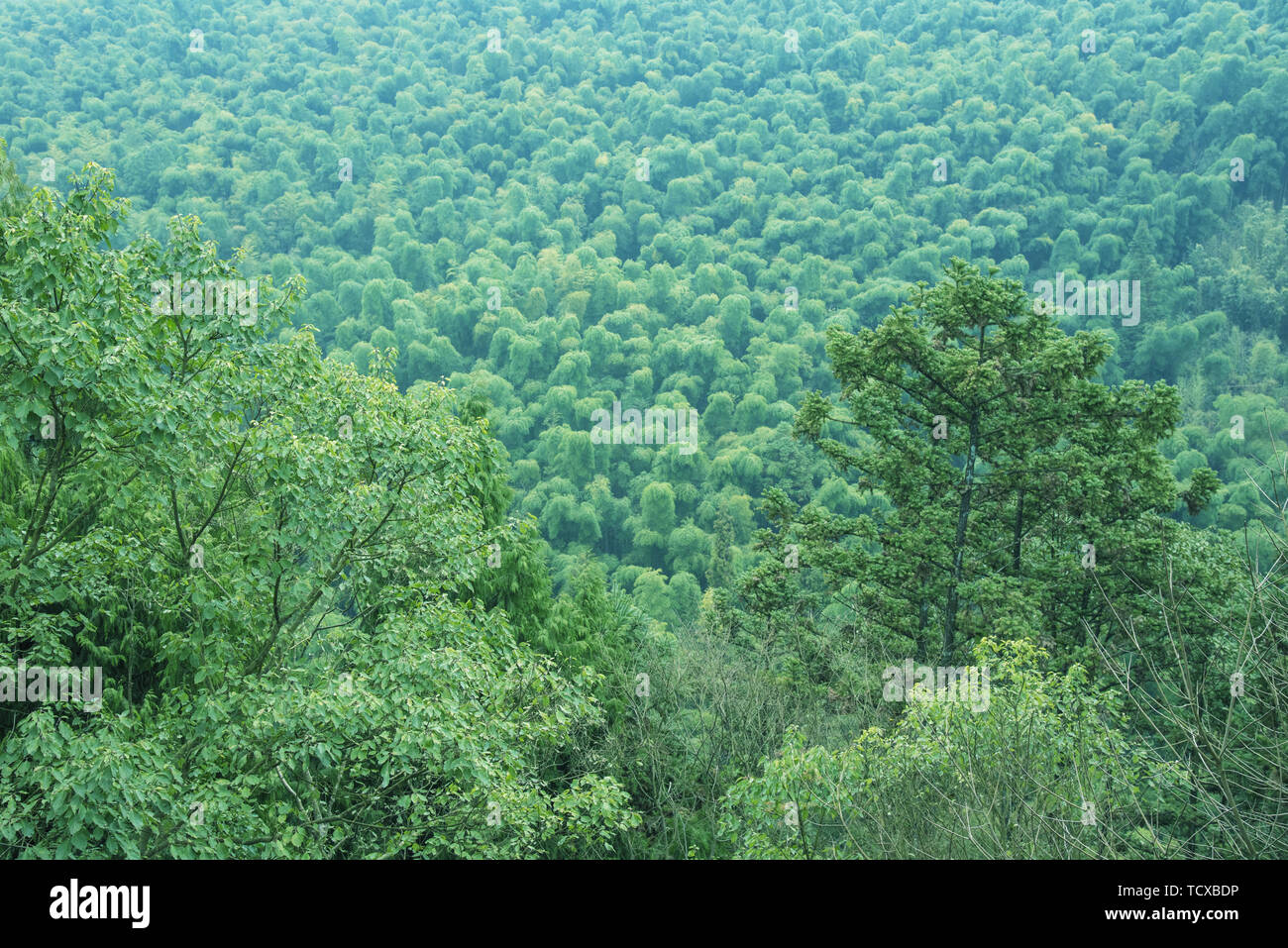 Scenery of Bashu mountains and rivers in Dazhu County, Sichuan Province ...
