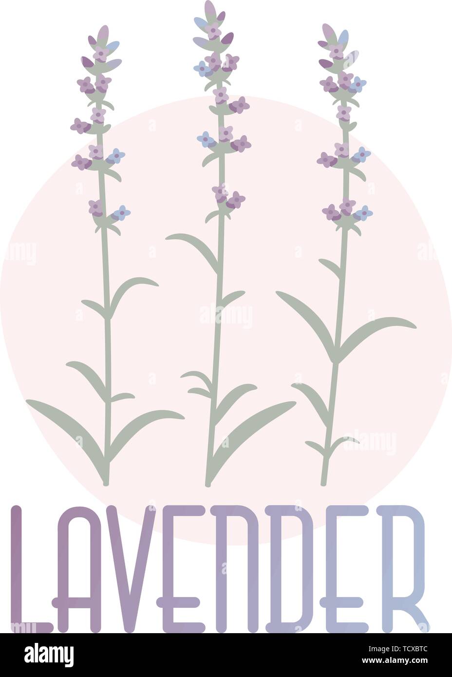 Provence vector vectors Stock Vector Images - Alamy