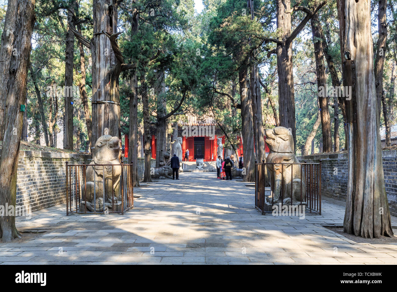 The Shinto Hall in the Confucius Forest in Qufu, Shandong Province ...