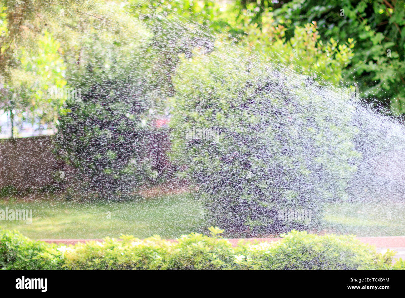 Watering the garden. Spraying small droplets of water against the ...