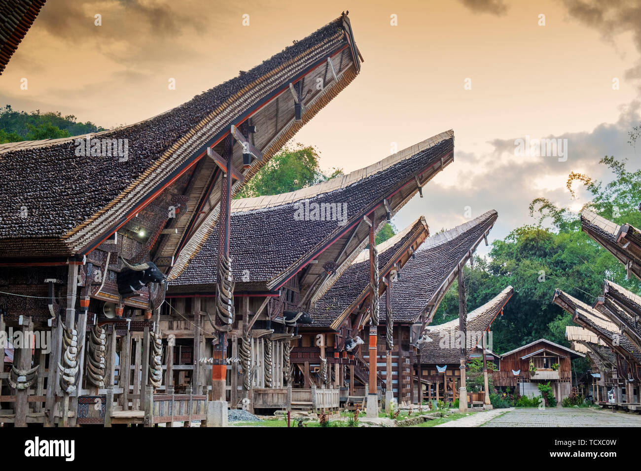 A rice farming village with traditional Torajan Tongkonan long houses ...